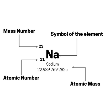 ZNotes - For Students. By Students.