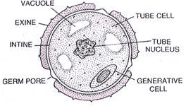 ZNotes - For Students. By Students.